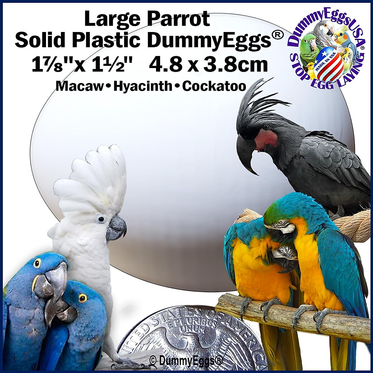 Plastic Large Parrot Eggs for Macaw & Cockatoo. 2 Dummy Solid Non-Toxic Fake Decoy Faux Mock Eggs 1-7/8" x 1-1/2" (4.8 x 3.8cm)