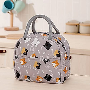 INVODA 4PCS Lunch Bag 4PCS Reusable Portable Lunch Bag Insulated Picnic Bag Cooler and Thermal Lunch Organizer for Work Picnic (4 Patterns)