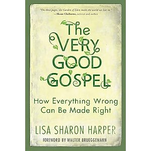 The Very Good Gospel: How Everything Wrong Can Be Made Right
