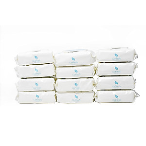 Fresh & Go GoFresh Baby Wipes, Gentle, 80 Count Per Pack (12)