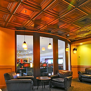 From Plain To Beautiful In Hours DCT05 Washington Square PVC 2' x 2' Lay-in or Glue-up Ceiling Tile (Covers / 40 sq.ft), Reclaimed Tin, 10 Piece