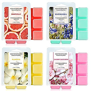 Scented Wax Melts, Wax Melts Wax Cubes, Soy Wax Cubes for Warmer Wax Melts Gift Set