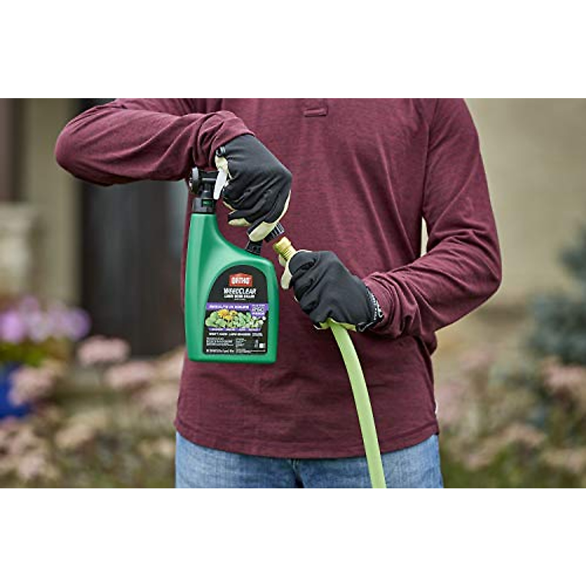 Ortho WeedClear Lawn Weed Killer Ready to Spray3 - Dandelion & Clover Killer, Also Kills Chickweed, Dollarweed & More, Weed Control for Lawns, Use on Southern Grasses, Kills to the Root, 32 oz.