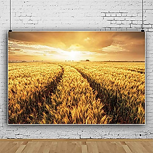 Renaiss 10x8ft Gold Cornfield Backdrop for Photoshoot Yellow Sunshine Clouds Harvest Field Photography Background Photo Booth Live Broadcast Video Prop Portraiture Party Family Gathering Outdoor Decor