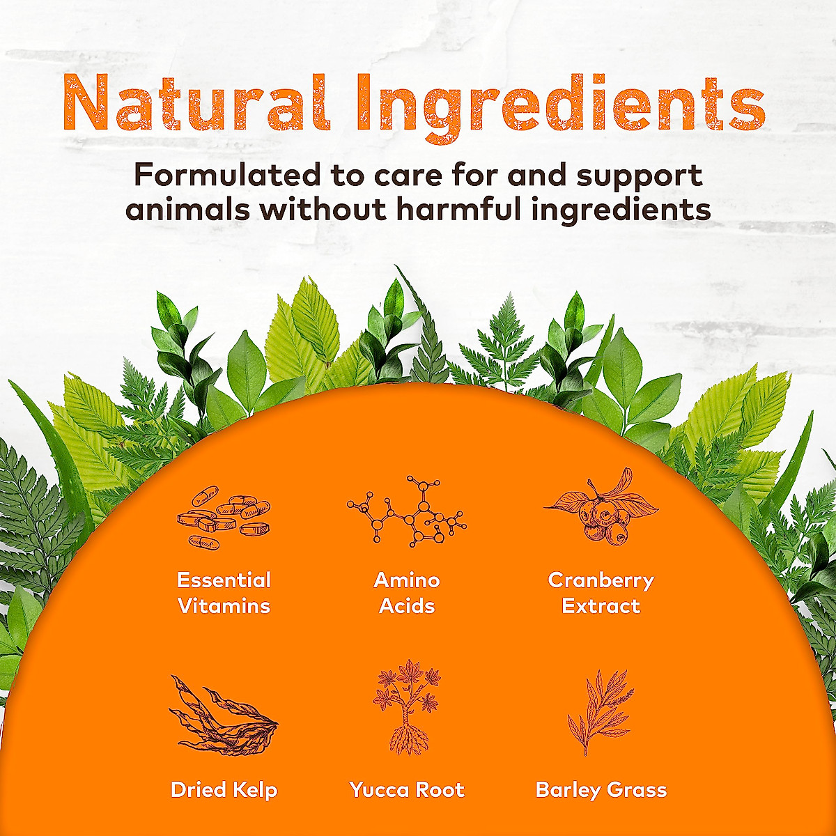 Earth Animal Stop Eating Stool Nutritional Supplement for Dogs & Cats, 8 oz. Container