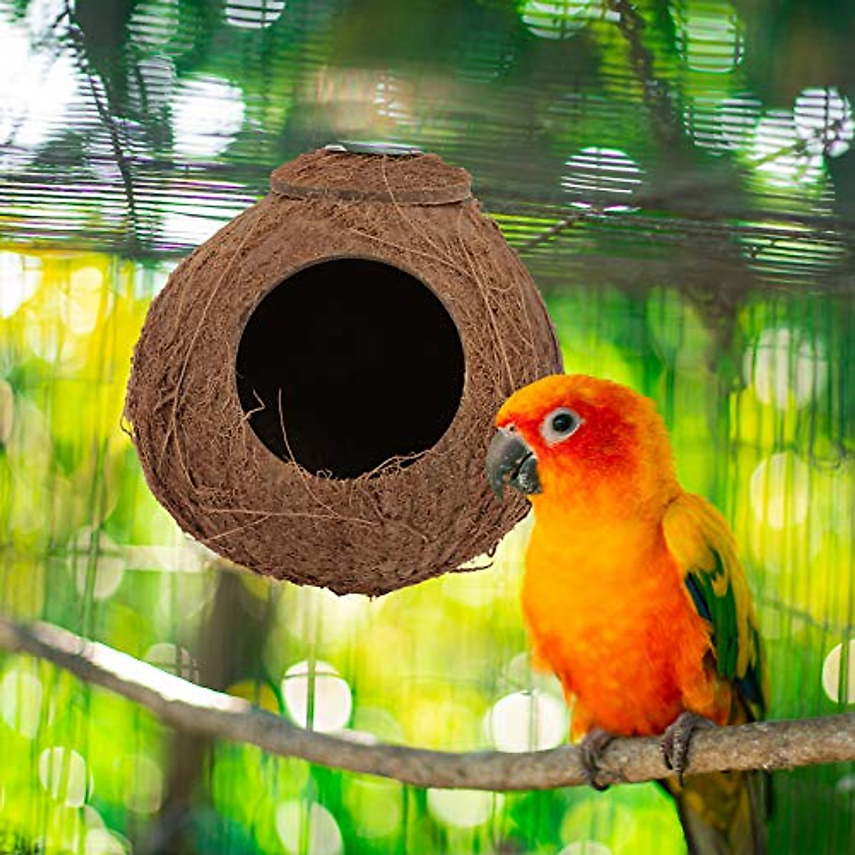 balacoo 3 pcs Coconut Shell Bird Nest Reptile Hanging Hideout Bird House Bird bite Shell House Coco Finch hut Gecko Coco hut Birds Nest Parrot Toy Bird cage Stainless Steel The Bird's nest