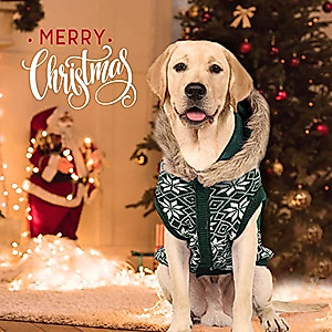 EMUST Dog Christmas Clothes, Cute Reindeer Hooded Christmas Dog Sweaters for Cat/Kitten/Puppy, Green, S