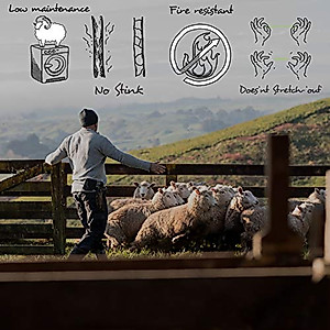 Merino 365 Women's Merino Crew T-Shirt Short Sleeve, MD, Red