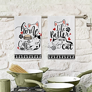 Hexagram Cat Kitchen Towels Set of 4, Cat Lover Gifts Cat Hand Towels for Kitchen Housewarming Farmhouse Kitchen Gifts,Cat Lovers Accessories for Women