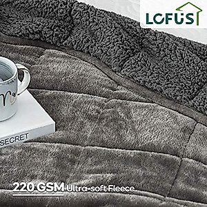 Lofus Sherpa Fleece Weighted Blanket 20 lbs Heavy Blanket with Soft Plush Flannel Reversible Full-Size Super Soft Extra Warm Cozy Fluffy Blanket 60 x 80 inches for Adult Bed Couch, Grey