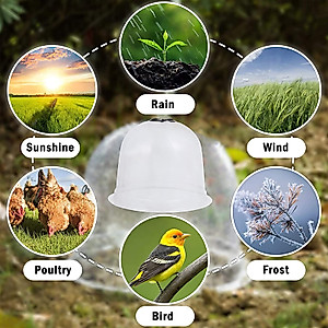 Hemoton 6pcs Plastic Plant Dome Bell Cover Garden Cloche Cover Moisturize Cover with 18 Ground Securing Pegs 10 Plant Label Humidity Dome for Seed Starter