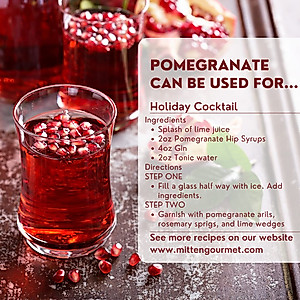 Hip Syrups - Pomegranate Sugar Free Simple Syrup Designed for Water Flavor, Bubble Tea, Boba Tea, Cocktails, Sugar Free