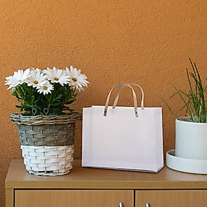 ywbag Clear Gift Bags With Handles, Reusable White Frosted Plastic Bags for Gifts Bags, Boutiques Bags, Parties Bags, Events Bags 10.2" x13" x4" 10 Pcs