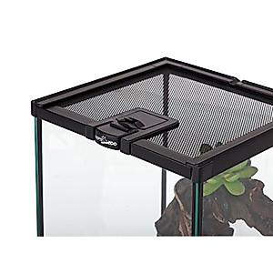 REPTIZOO Mini Reptile Glass Terrarium Tank 8" x 8" x 12" Full View Visually Appealing Top Feeding & Venlitation Small Reptile Glass Habitat