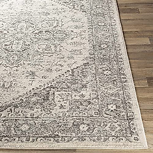 Hauteloom Rockfall Hallway, Kitchen Runner Rug - Traditional - Gray, Beige - 2'7" x 7'3"