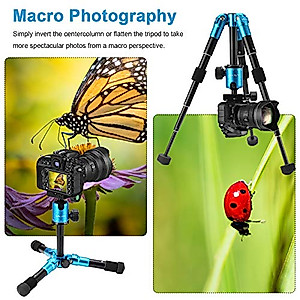 Tabletop Tripod, 20 inch Portable Desktop Mini Tripod for Camera with 360 Degree Ball Head, Aluminum Small Travel Tripod, Compatible with DSLR Camera/Video Camcorder/Cell Phone/Spotting Scope (Blue)