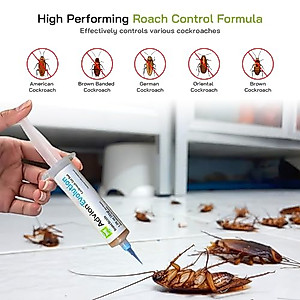 Evolution Cockroach Gel with Two Premium Rubber Tipped Plungers - 4 Tubes of Bait, Prevent Roach Infestations