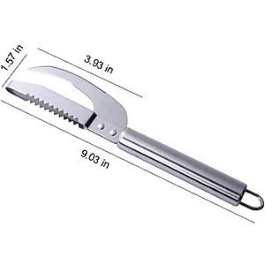 Fish Scale Knife Cut/Scrape/Dig 3-in-1, Manual Fish Scale Scraper, Multifunction Stainless Steel Fish Scaler, Fish Peeler Scaler Open Belly and Dig Out Fish Cleaner Tool Kitchen Accessorie (1 PC)