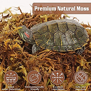 ZeeDix 3OZ Premium Sphagnum Moss for Plants, 4QT Natural Long Fibered Orchid Moss Sphagnum Peat Moss Bulk for Carnivorous,Orchid,Sarracenia,Succulent,Venus Fly Traps and Reptiles