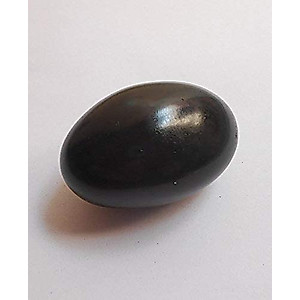 Black Shaligram/SHALIGRAM/Natural Shila for Pooja Religious Item for Blessings from GANDAKI RIVER