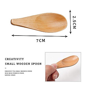 5 Pieces Mini Wooden Spoons, Small Salt Spoon with Short Handle Mini Wood Scoop for Spice Jars Tea Coffee Milk Powder, Natural Color