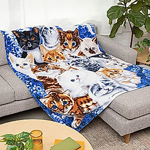 Dawhud Direct Collage Kitten Fleece Blanket for Bed, 75" x 90" Queen Size Cute Fleece Throw Blanket for Girls, Women, Men and Kids - Super Soft Plush Cat Blankets for Cat Lovers Kitty Cats Print Throw