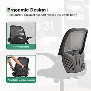 Novilla Home Office Computer Desk Chair, High Back Ergonomic Desk Chair with Adjustable Lumbar Support and Height, Swivel Task Chair with Flip-up Armrests, Black