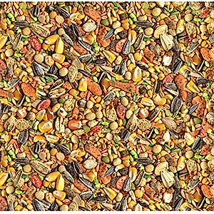 Wild Harvest Advanced Nutrition Parrot 8 Pound Bag,White