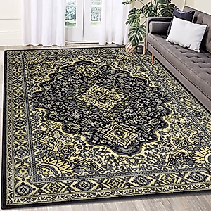 COZYLOOM 8x10 Area Rug Indoor Living Room Bedroom Large Area Rug Medallion Collection Area Rug Non-Shedding Oriental Traditional Area Rug, Grey