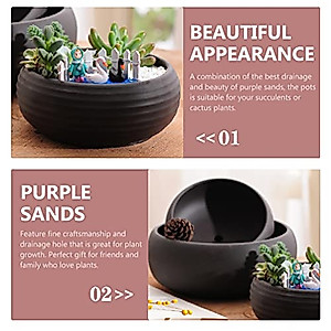 Zerodeko Small Terrarium Purple Sand Succulent Flower Pot Pet Decorations Purple