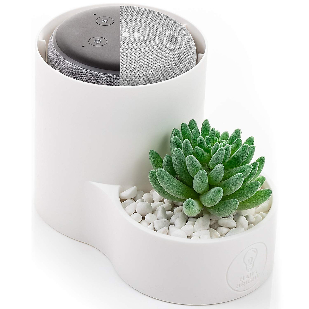 HAUS BRIGHT Echo Dot Holder | Google Mini Stand | 2nd/3rd Generation | Smart Accessories Cover Case | Clear Speaker, Mic, Lighting | Multi-Functional Planter, Money, Keys, Candy, Ring Dish