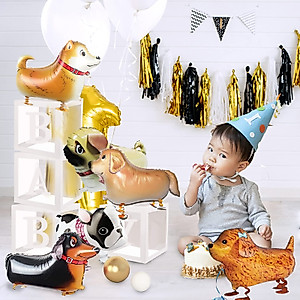 Walking Animal Balloons Pet Dog balloons - 6pcs Puppy Dogs Birthday Party Supplies Kids Balloons Animal Theme Birthday Party Decorations