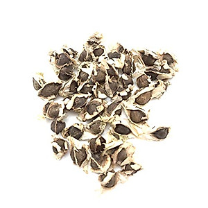 Organic Moringa Seeds | 1000 Seeds Approx.| Premium Quality | PKM1 Variety | Edible | Planting | Moringa Oleifera| Malunggay | Semillas De Moringa | Drumstick Tree | Non-GMO | Product from India