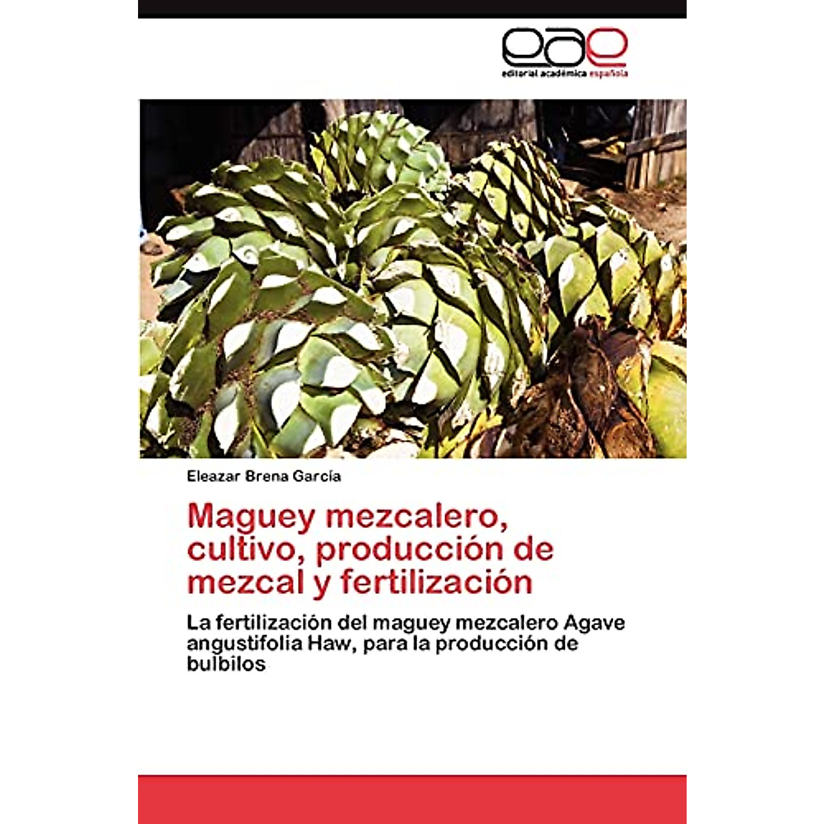 Maguey mezcalero, cultivo, producción de mezcal y fertilización: La fertilización del maguey mezcalero Agave angustifolia Haw, para la producción de bulbilos (Spanish Edition)