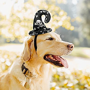 Dog Halloween Costumes, Adjustable Halloween Hat and Bandana Scarf for Dog, Funny Pet Halloween Party Dressup (Black)