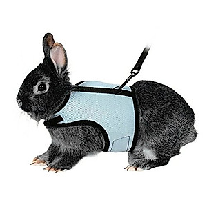 Cute Rabbit Bunny Harness and Leash - Soft Rabbit Harness Breathable Mesh Vest Small Animal Outdoor Walking Running Accessories - Size XL (Sky Blue)