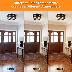 2-Light Black Flush Mount Ceiling Light Fixtures, Industrial Farmhouse Ceiling Light Fixture, Light Fixtures Ceiling Mount, Vintage Closed to Ceiling Mount Lamp for Hallway Kitchen Bedroom 2 Pack