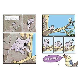 Surviving the Wild: Rainbow the Koala