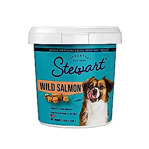 Stewart Freeze Dried Dog Treats, Wild Salmon, Grain Free & Gluten Free, 2.75 Ounce Resealable Tub, Single Ingredient, Made in USA, Dog Training Treats