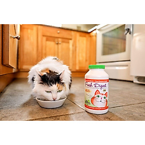 In Clover Fresh Digest Daily Digestive Aid and Immune Support Supplement for Cats, Natural Prebiotic and Enzyme Powder for Healthy Stools, Hairball Control, Stop Litterbox Odor, Works Fast 100g/3.5oz