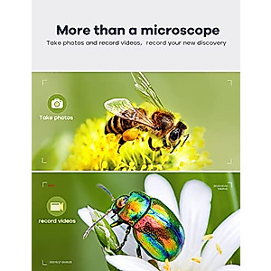 7" LCD Digital Microscope 1200X,Leipan 12MP Coin Microscope with Screen for Adults,1080P Video Microscope with 12pcs Slides,Wired Remote,2 Side Lights,Windows/Mac OS Compatible…