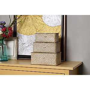 HAPYFURN Seagrass Handmade Woven Storage Basket with Lid Rectangular Natural Rattan Box for Toys Clothes Books Keys Multifunctional Makeup Organizer Set of 3 Shelf Basket