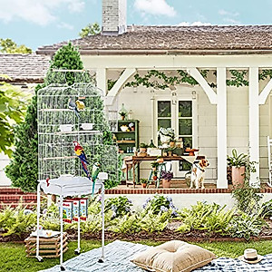 Bird Cage, MGHH Parakeet Cage with Play Open Top & Detachable Rolling Stand for Medium Small Cockatiel Canary Parakeet Conure Finches Budgie Lovebirds Pet Storage Shelf (64 Inch, White)