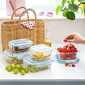 Moss & Stone Kitchen Glass Food Storage Containers Set with Lids 10 Pcs. Snapware Transparent Lids Leak Proof, Oven, Freezer, Microwave & Dishwasher Safe, Airtight Meal Prep Container Glass BPA-Free