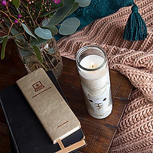 Scented Cathedral Candle by Studio Oh! - 13-Ounce Soy-Blend Wax Pillar Candle in Decorative Glass Container - Passion Fruit - Burns up to 115 Hours