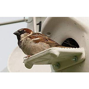 FMS Ravenox Sparrow and Starling Eliminator Trap | Starling Trap, Sparrow Trap | House Sparrow Trap for Eliminating Invasive, Non-Native Sparrows | Bird Trap with Sparrow Trap Door