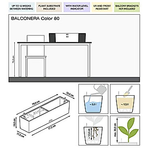 Lechuza 15680 Balconera Color 80 Garden Indoor and Outdoor Use, White Matte Self Watering Planter
