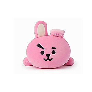 Lerion Pillow Doll Plush Small Plush Puppets Toy Bangtan Boys Throw Pillow Cushion Perfect for Home/Car/Office/Travel/School Decor Great Gift (Cooky)