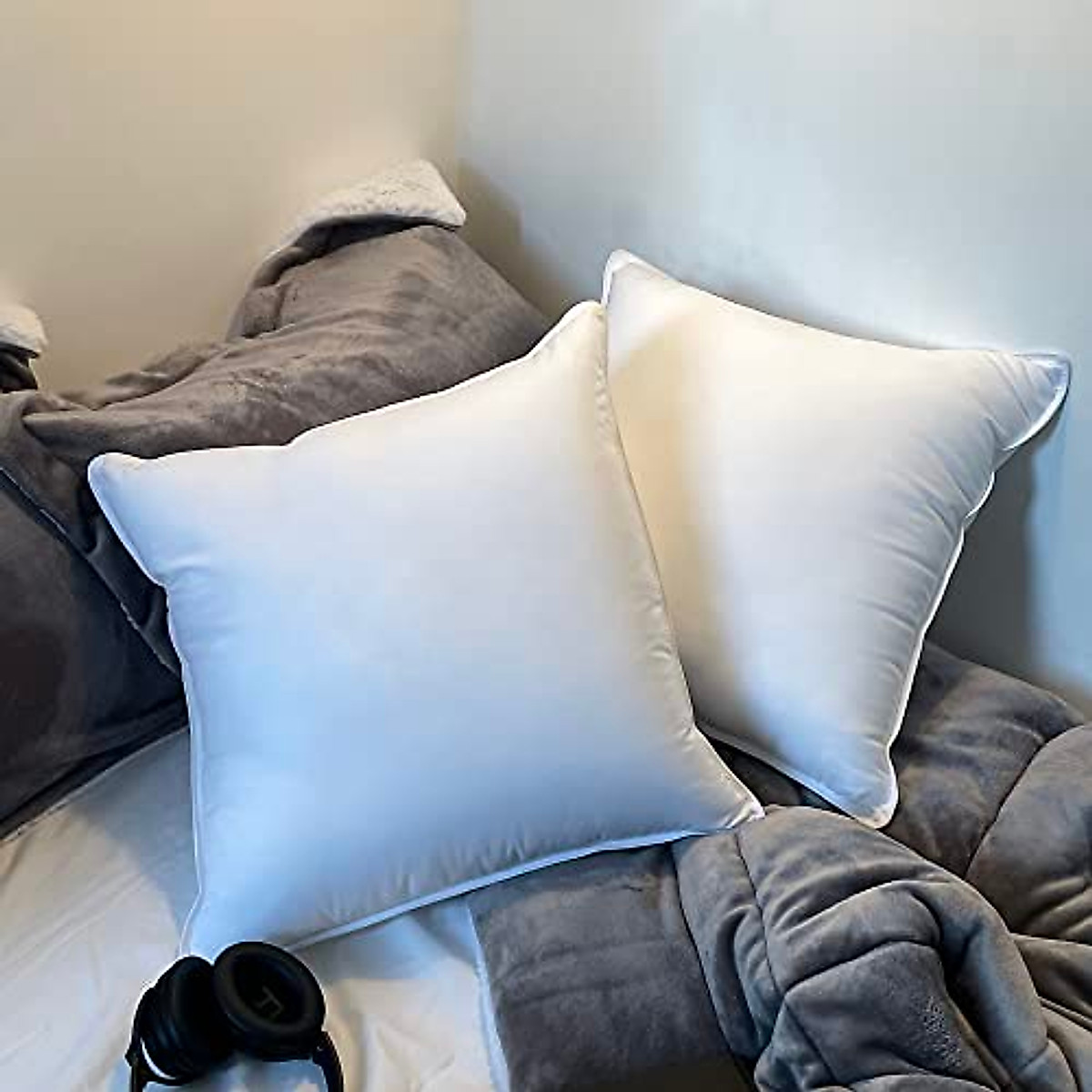 Seward Park Throw Pillow Inserts 20 x 20 in Set of 2 for Couch and Sofa, Soft Fluffy Square Form Down Alternative Cushion Decorative Pillow Inserts