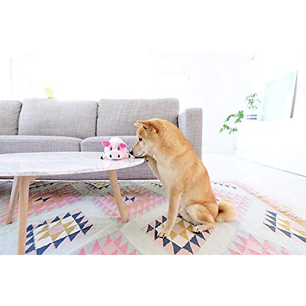 Outward Hound Fattiez Pig Plush Squeaky Dog Toy, Small